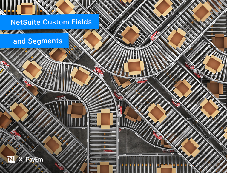 Practical NetSuite Customization Tips Using Fields & Segments - PayEm